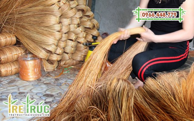 Cây guột (cỏ tế) là cây gì? Đặc điểm và ứng dụng của cây guột